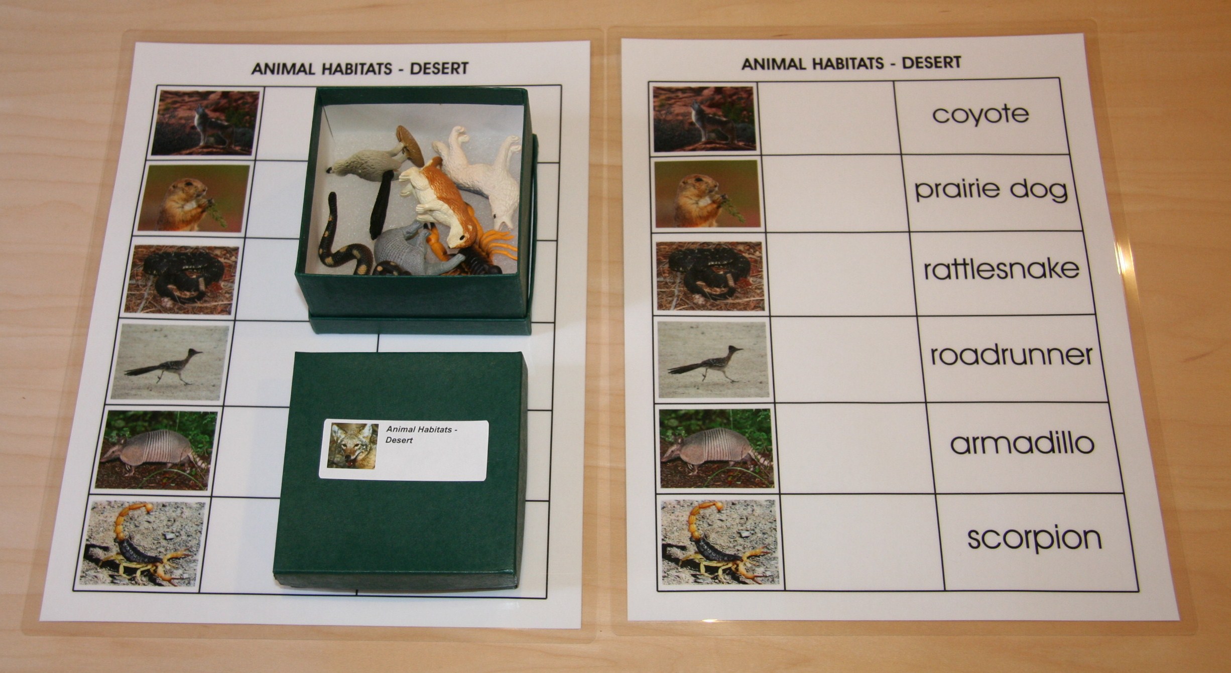 Animal Habitats - Desert | E&O Montessori, US