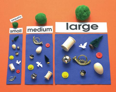 Size Sort | E&O Montessori, US