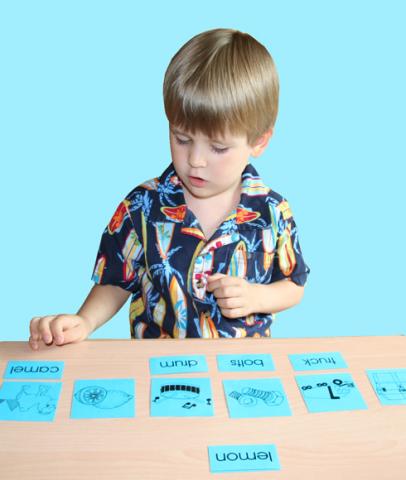 Blue Picture Cards & Word Cards | E&O Montessori, US