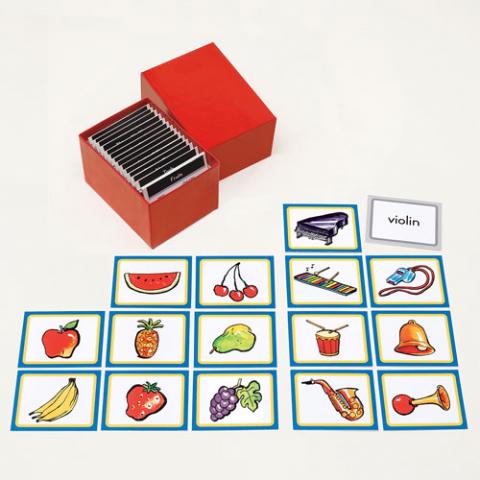 Classified Vocabulary Picture Cards | E&O Montessori, US