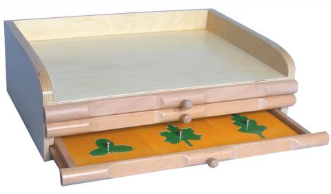 Botany Cabinet with 14 Real Leaf Shape Insets | E&O Montessori, US