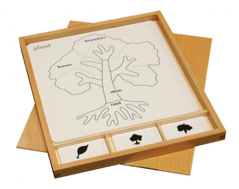 Botany Puzzle Activity Set | E&O Montessori, US