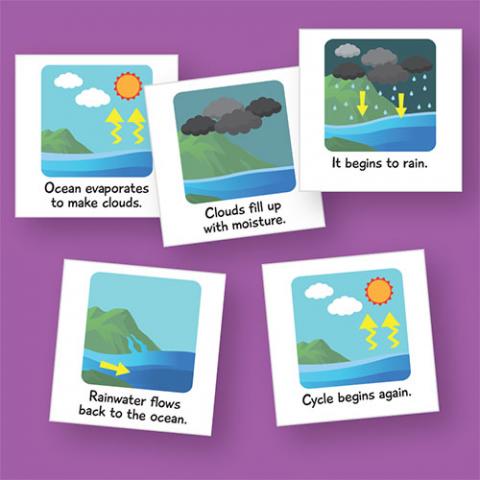 Life Cycle Magnetic Cards: Water Cycle | E&O Montessori, US