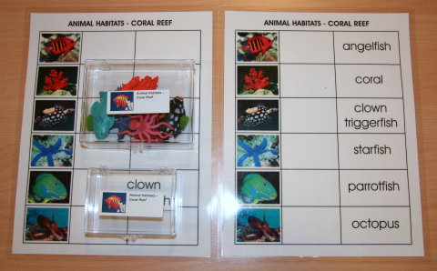 Animal Habitats - Coral Reef | E&O Montessori, US